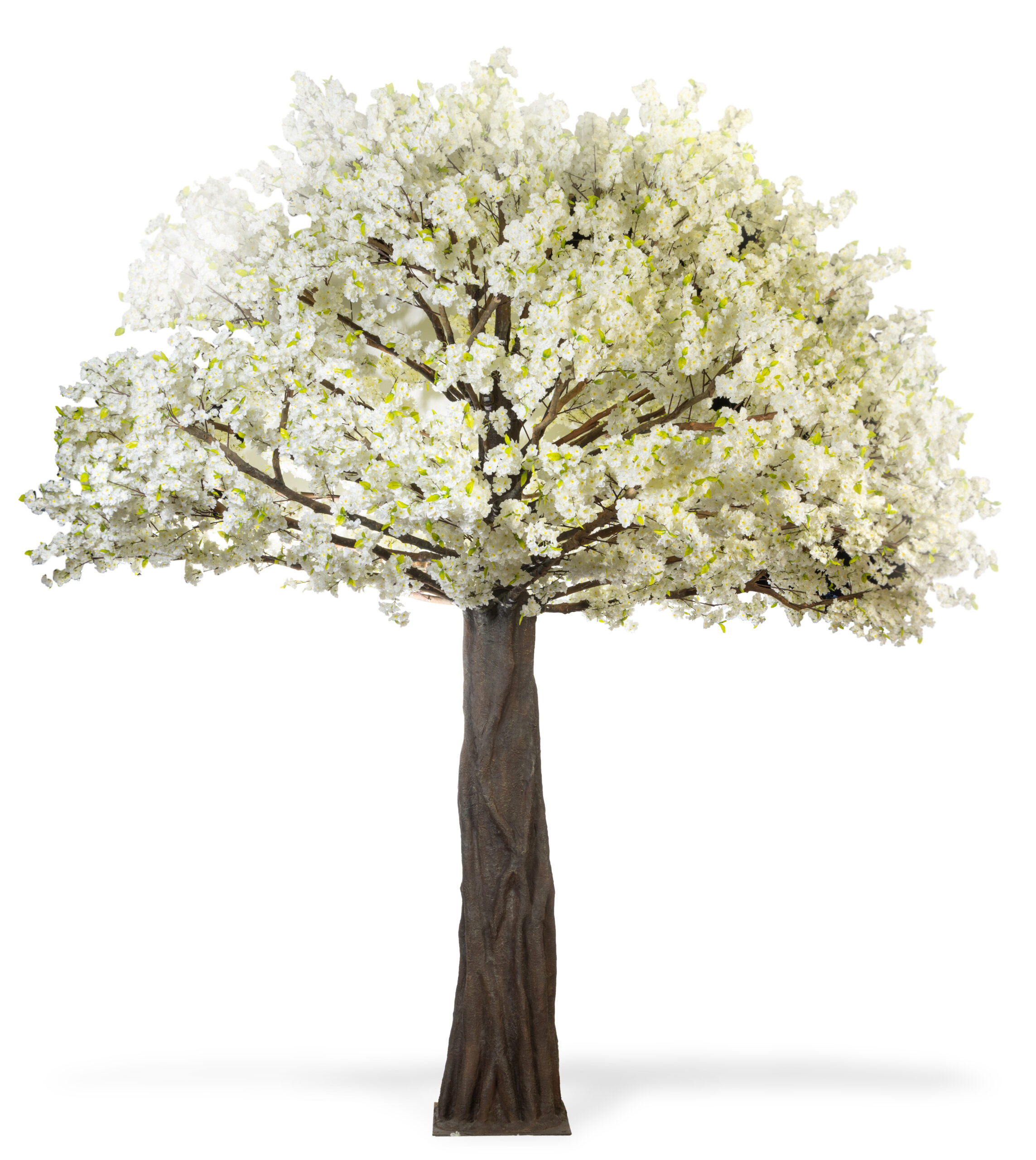 White Blossom Tree - Silvera